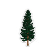 The Pine Tree Sticker